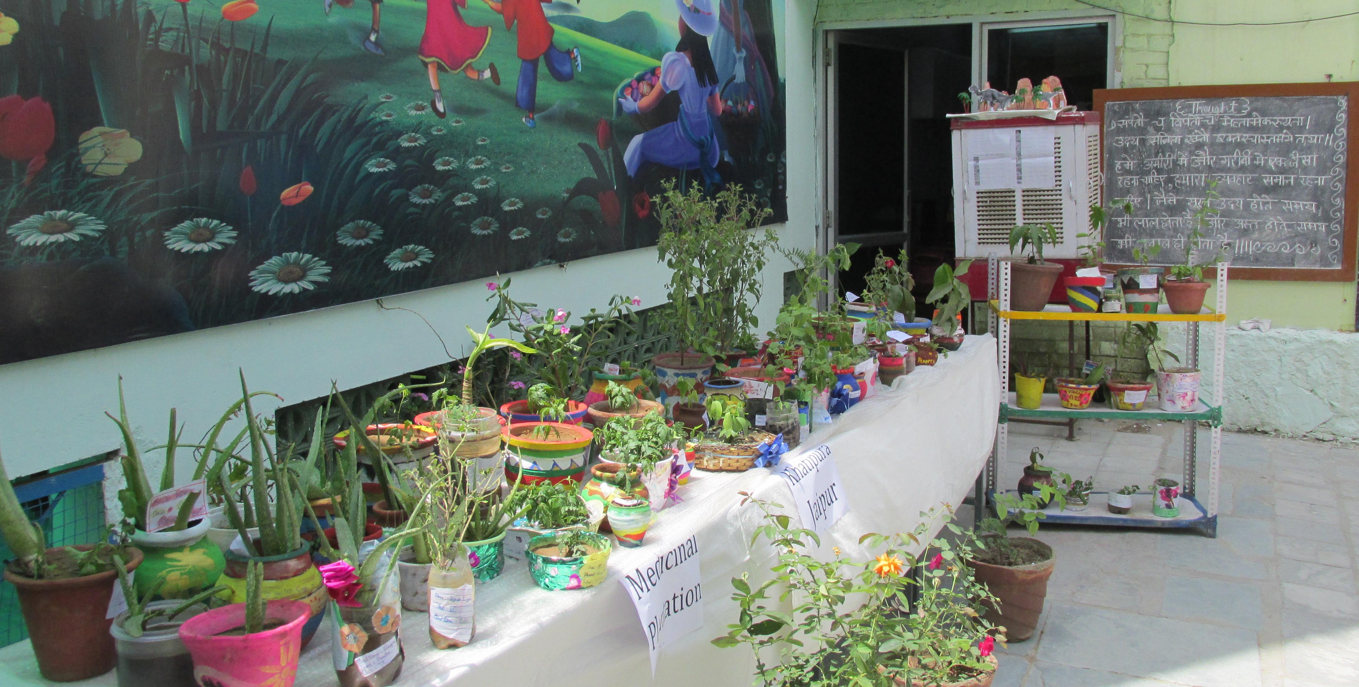 Sustainable Rural Development-Rajasthan